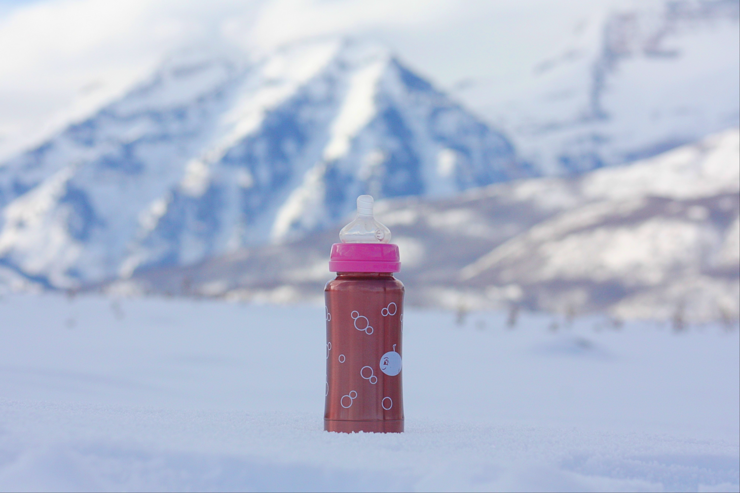 Pacific Baby Insulated Baby Bottles and Natural Bamboo Feeding ...